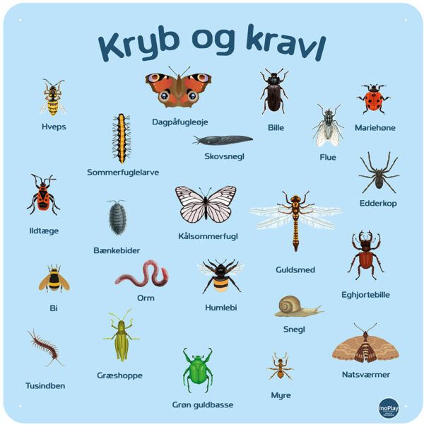 Kryb og kravl - SmartSteps2Learn